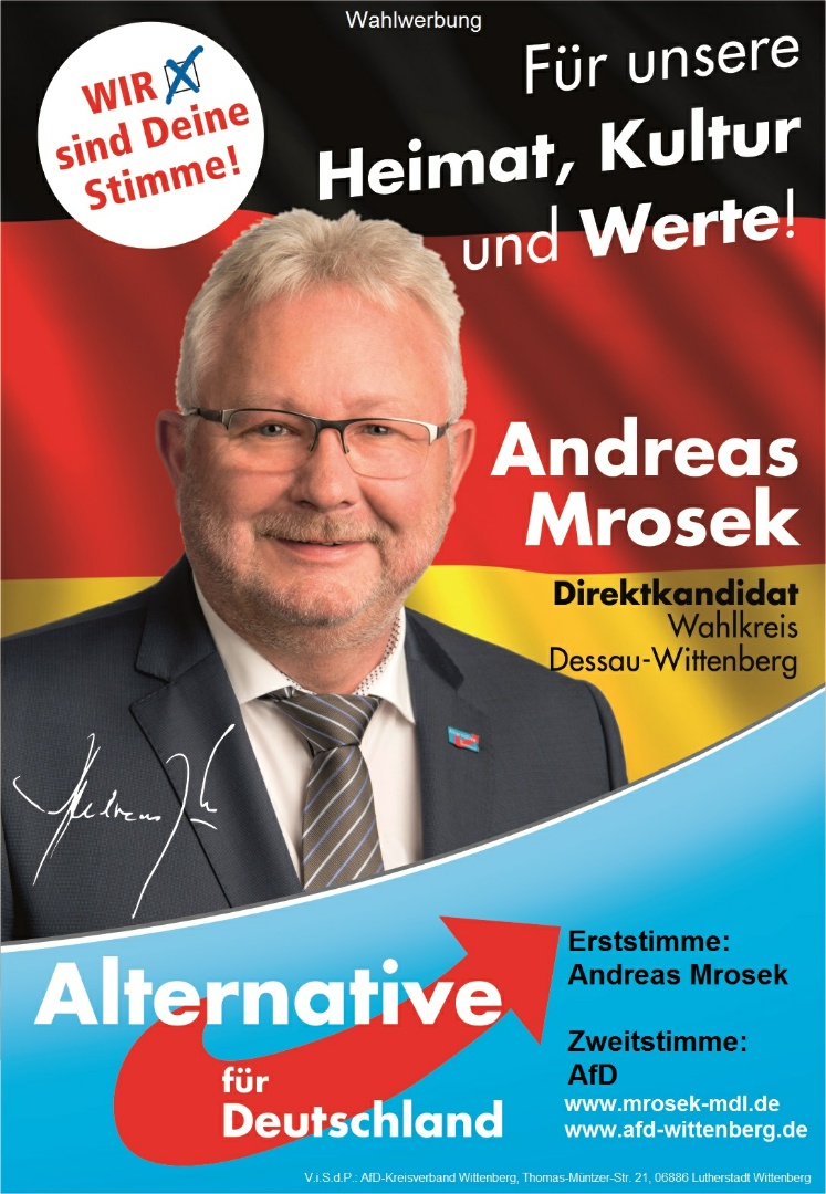 Npd Afd Und Linke Bestehen Nur Aus Vleuten Welt